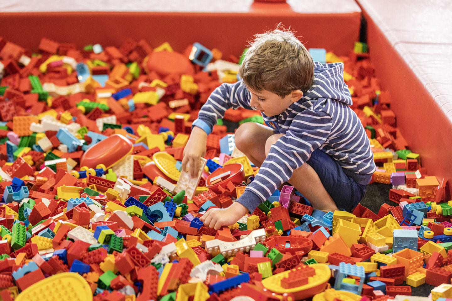 BRICKLIVE in the Park | Evolution London